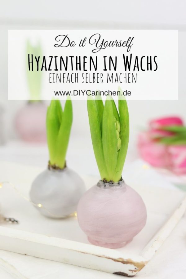 Wachs Selber Machen